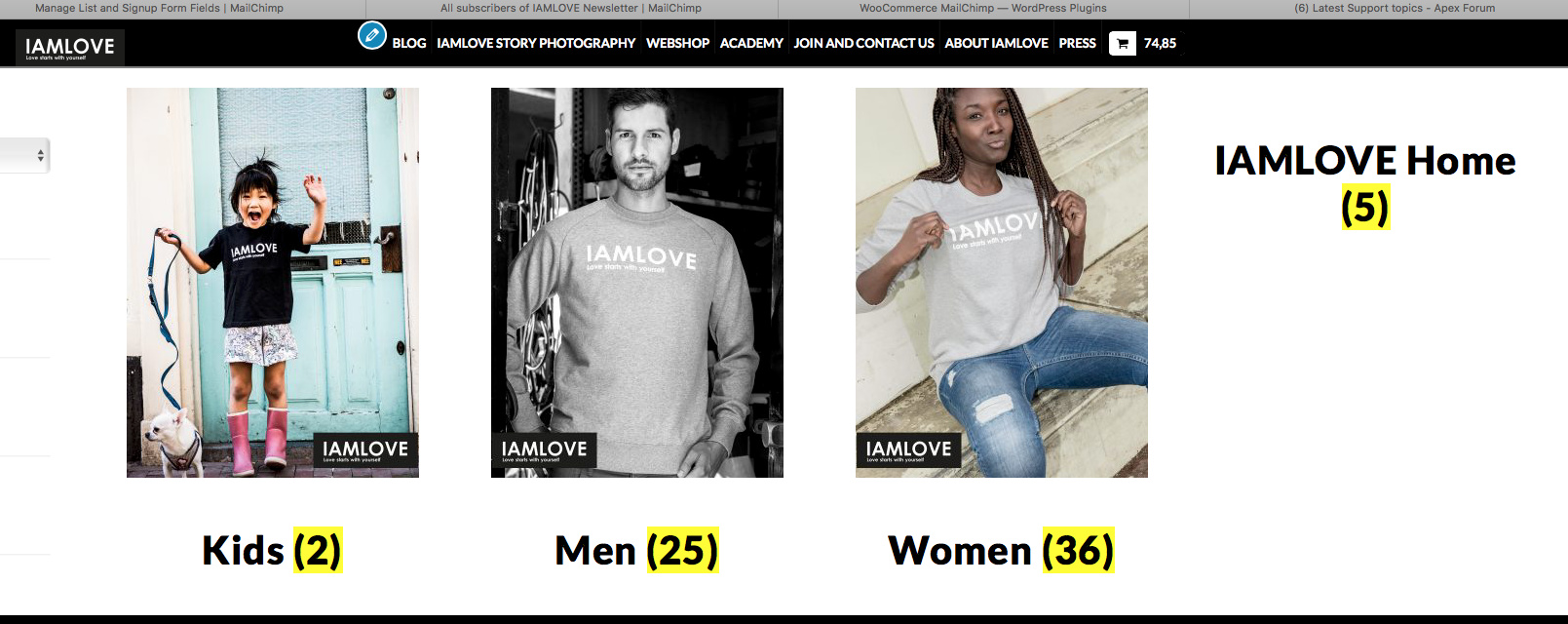 How Can I Customise My Woocommerce Page Support Themeco Forum