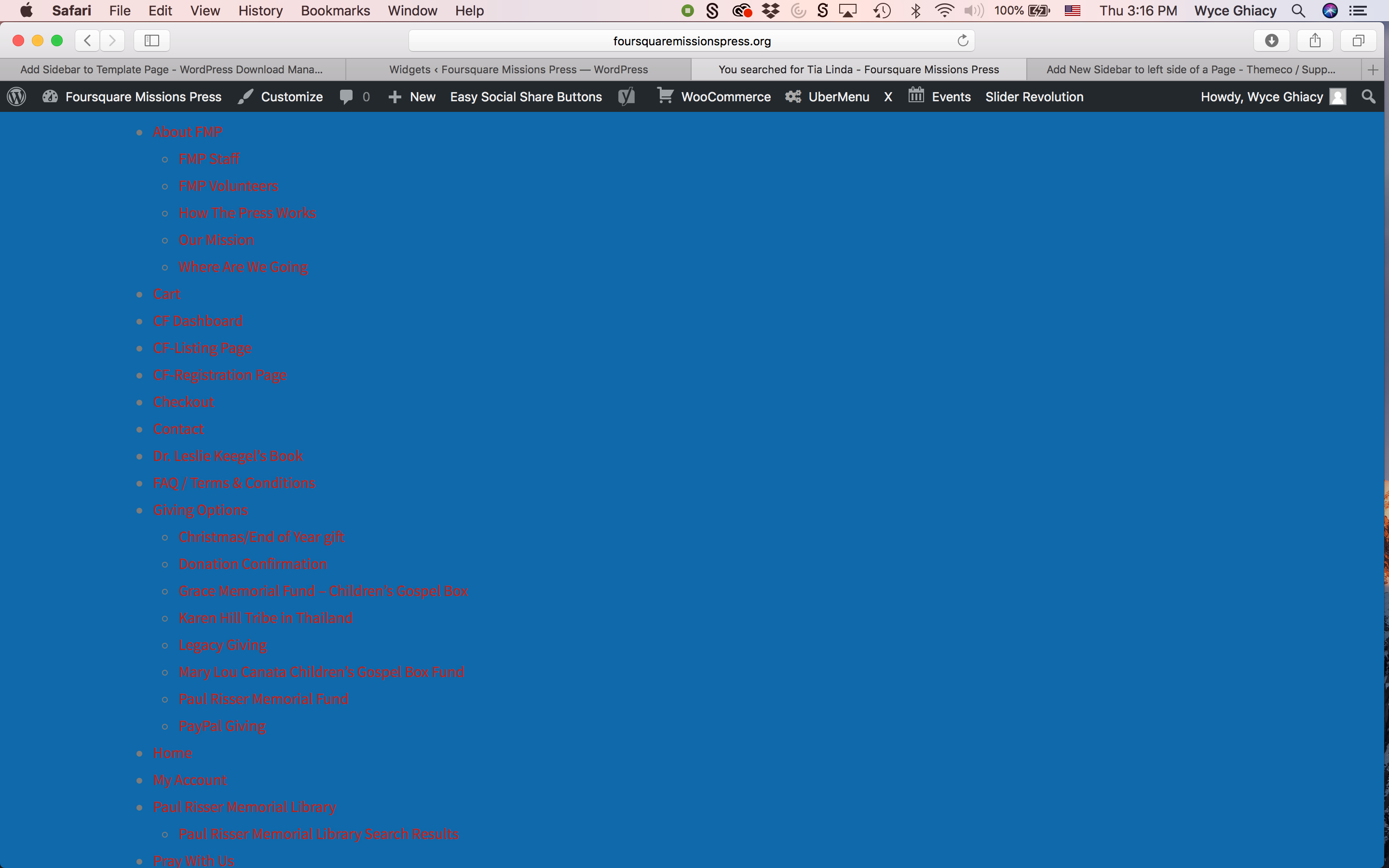 Product Search Bar Results Not Displaying Correctly - Support - Themeco ...