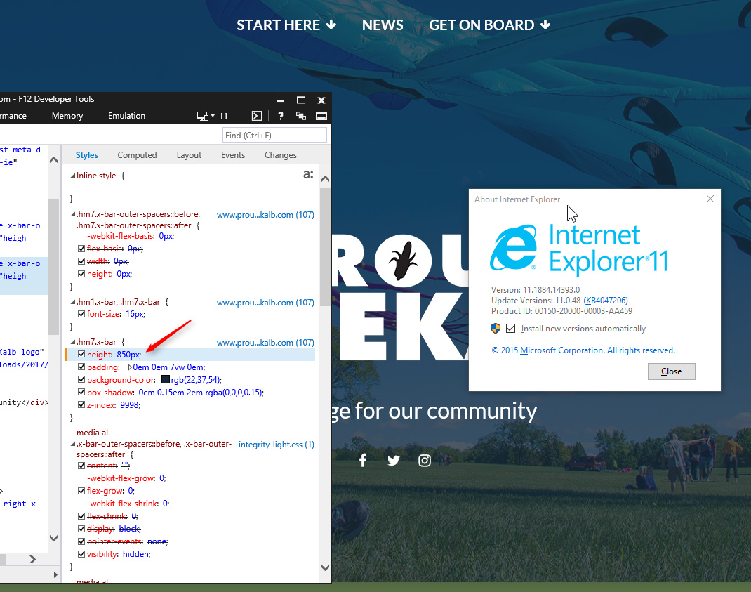 IE 11 header and text display issues - Support - Themeco Forum