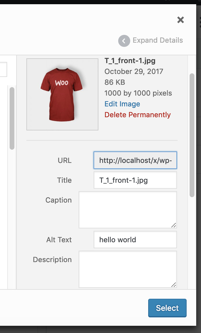 Alternate image not shown in Ess Grid - Support - Themeco Forum
