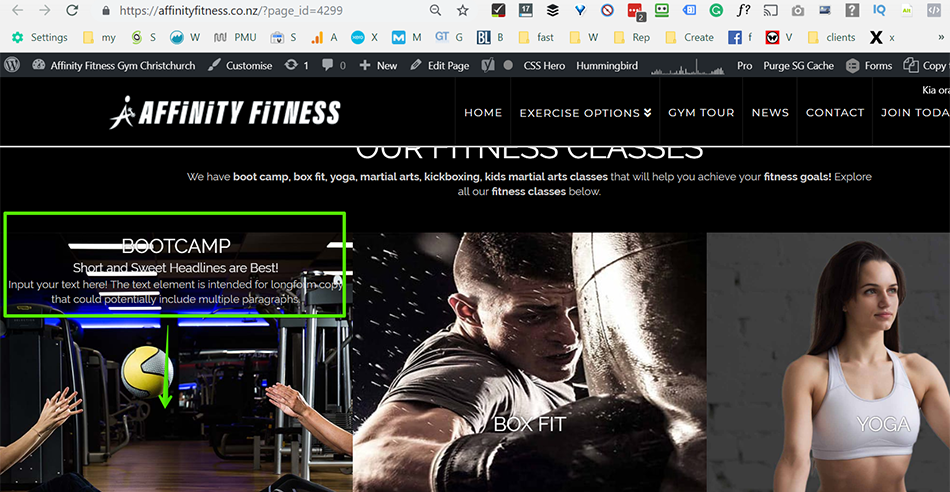 Centre vertically - button header text on a column - Support - Themeco Forum